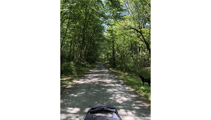 Lebanon Valley Rail Trail- Mt.Grenta Spur Trailhead