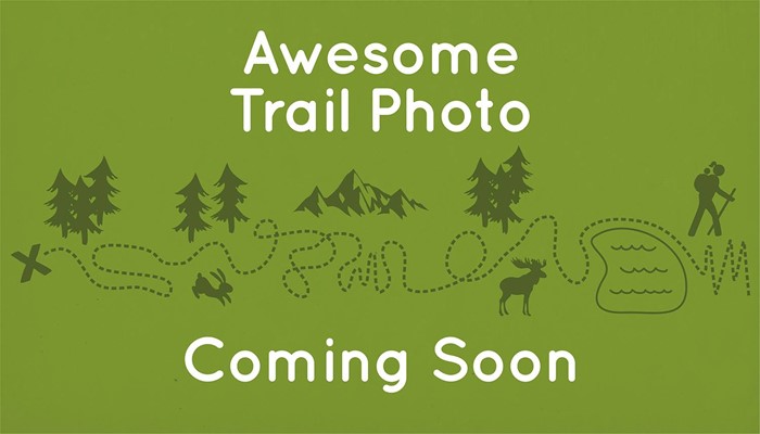 NCR (Torrey C Brown) Trail