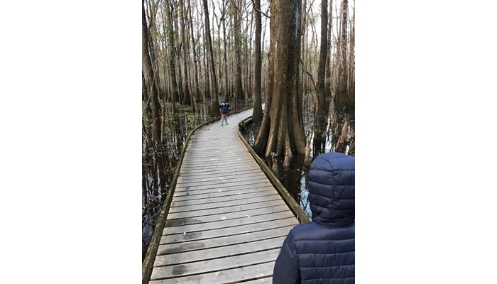 Congaree National Park -Boardwalk Loop