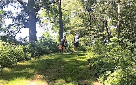 Donald Rock Trail
