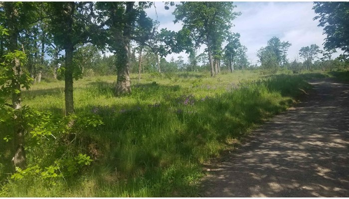 Cooper Mountain Nature Park - Little Prairie Loop
