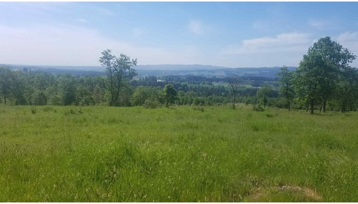 Cooper Mountain Nature Park - Little Prairie Loop