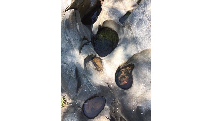 Gunpowder SP: Pot Rocks & Saw Mill Trails