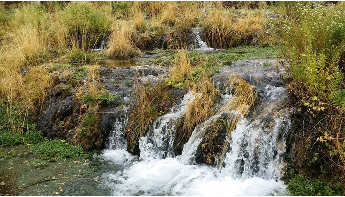 Cascade springs nature trail