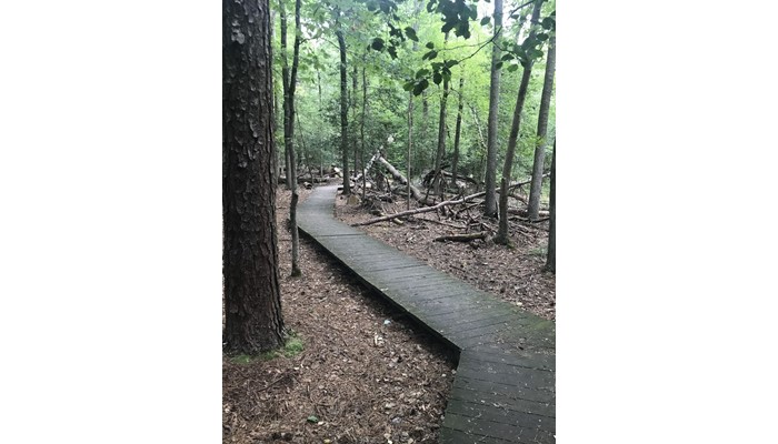 Cash Lake Trail - Patuxent Research Refuge - South Tract