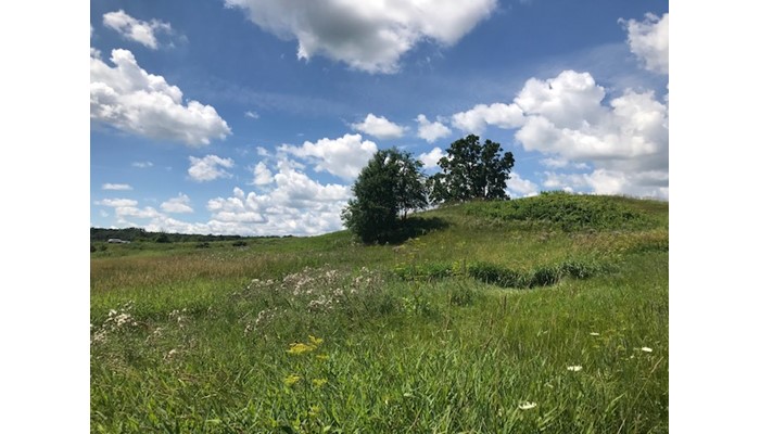 Donald Rock Trail