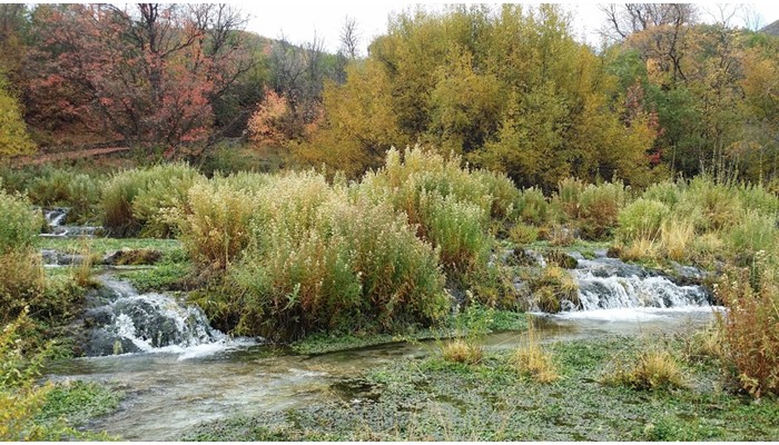 Cascade springs nature trail